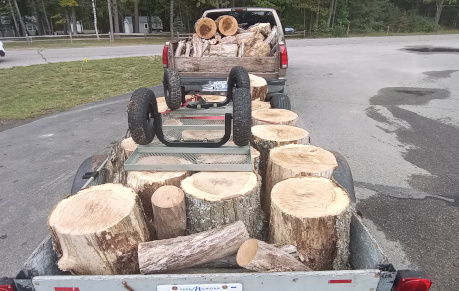 Load Of Fresh Cut Logs - Country Wood Products