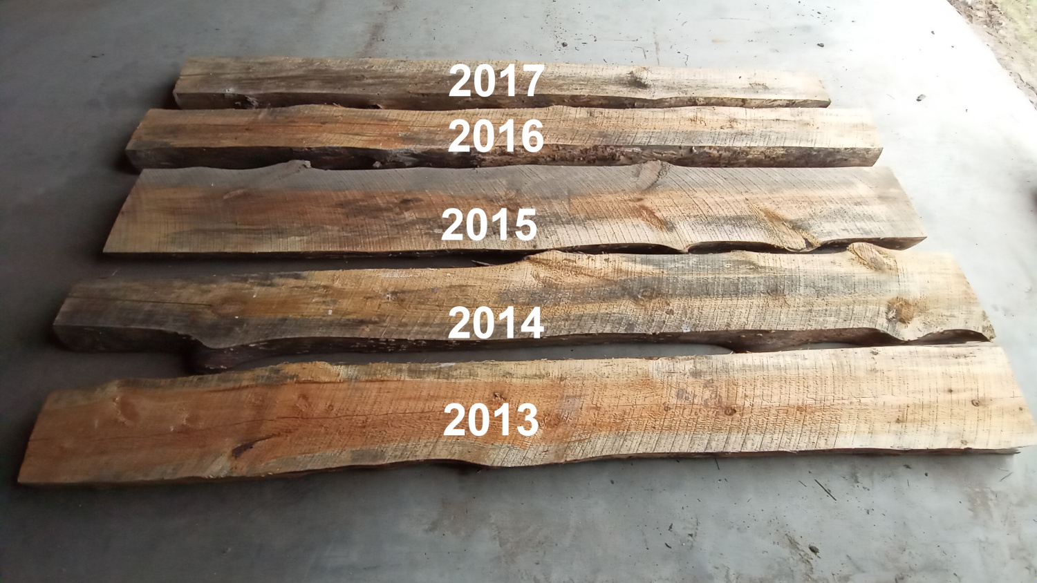 Country Wood Products - Pine Live Edge Slabs